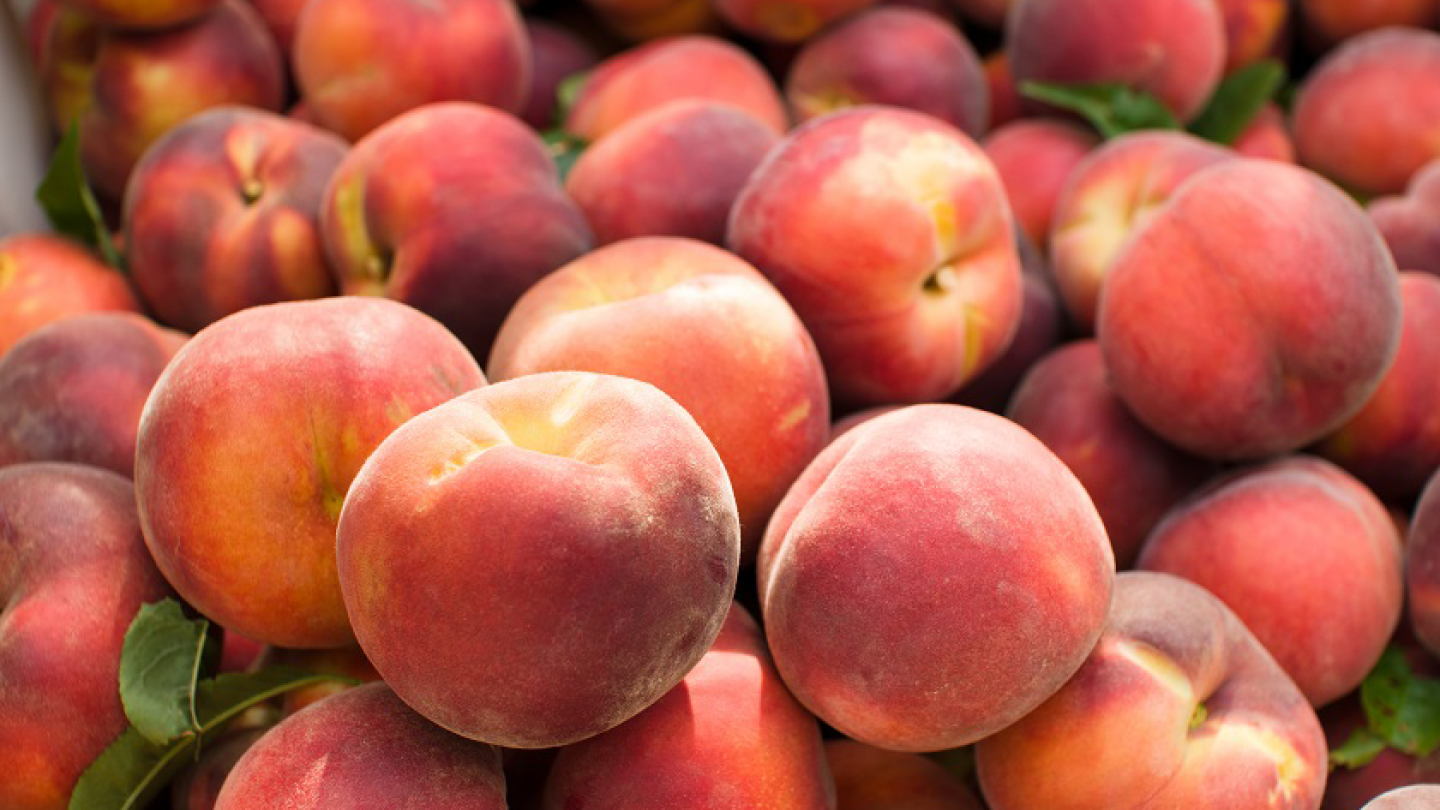 Stemilt stone fruit season kicks off - The Packer
