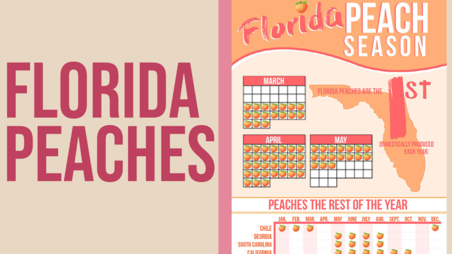 Some points about Florida’s peaches - The Packer