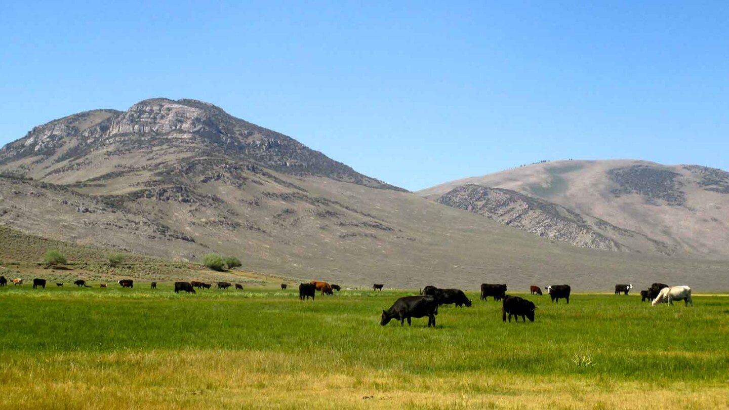 Derrell Peel: U.S. Protein Export Markets - Drovers