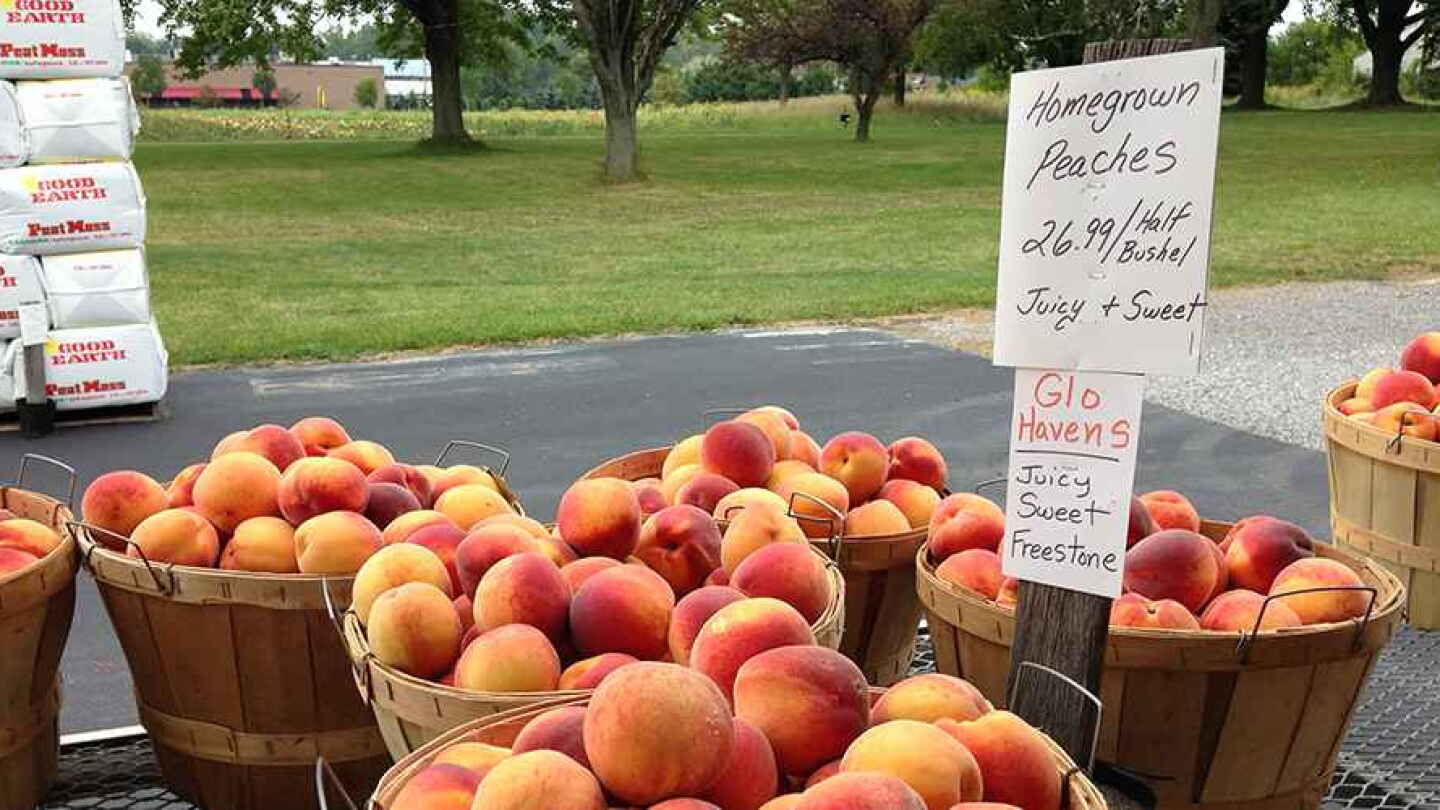 Insight sought on local and regional produce marketing - The Packer