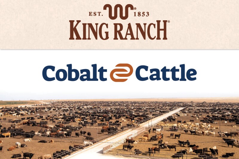 King Ranch® Announces Strategic Investment into Cobalt Cattle - Drovers
