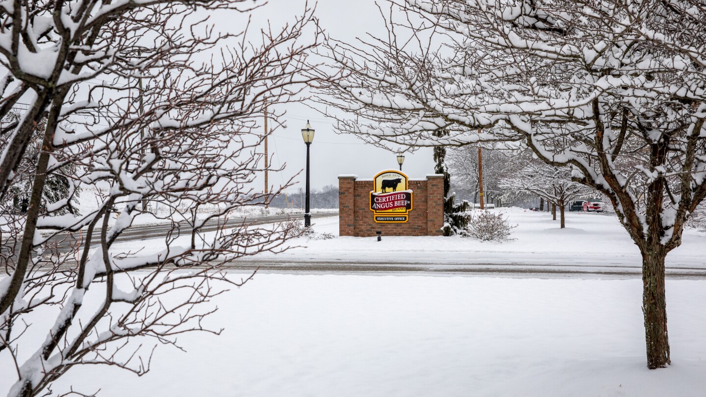 Bruce Cobb to lead CAB production team - Drovers