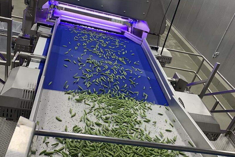 Mann Packing upgrades snap pea program - The Packer