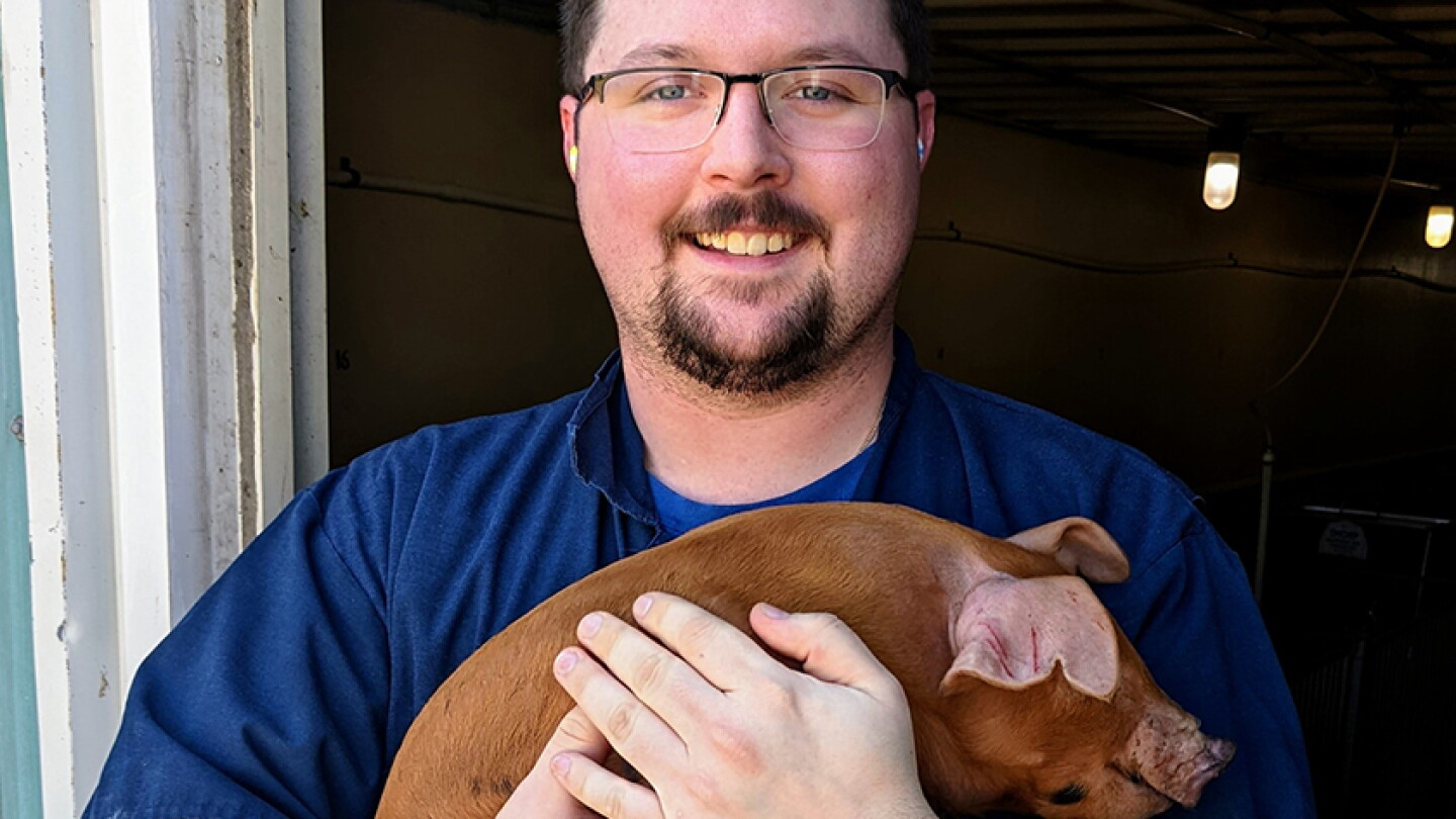 A Quest to Improve Profitability for U.S. Pig Farmers - Pork Business