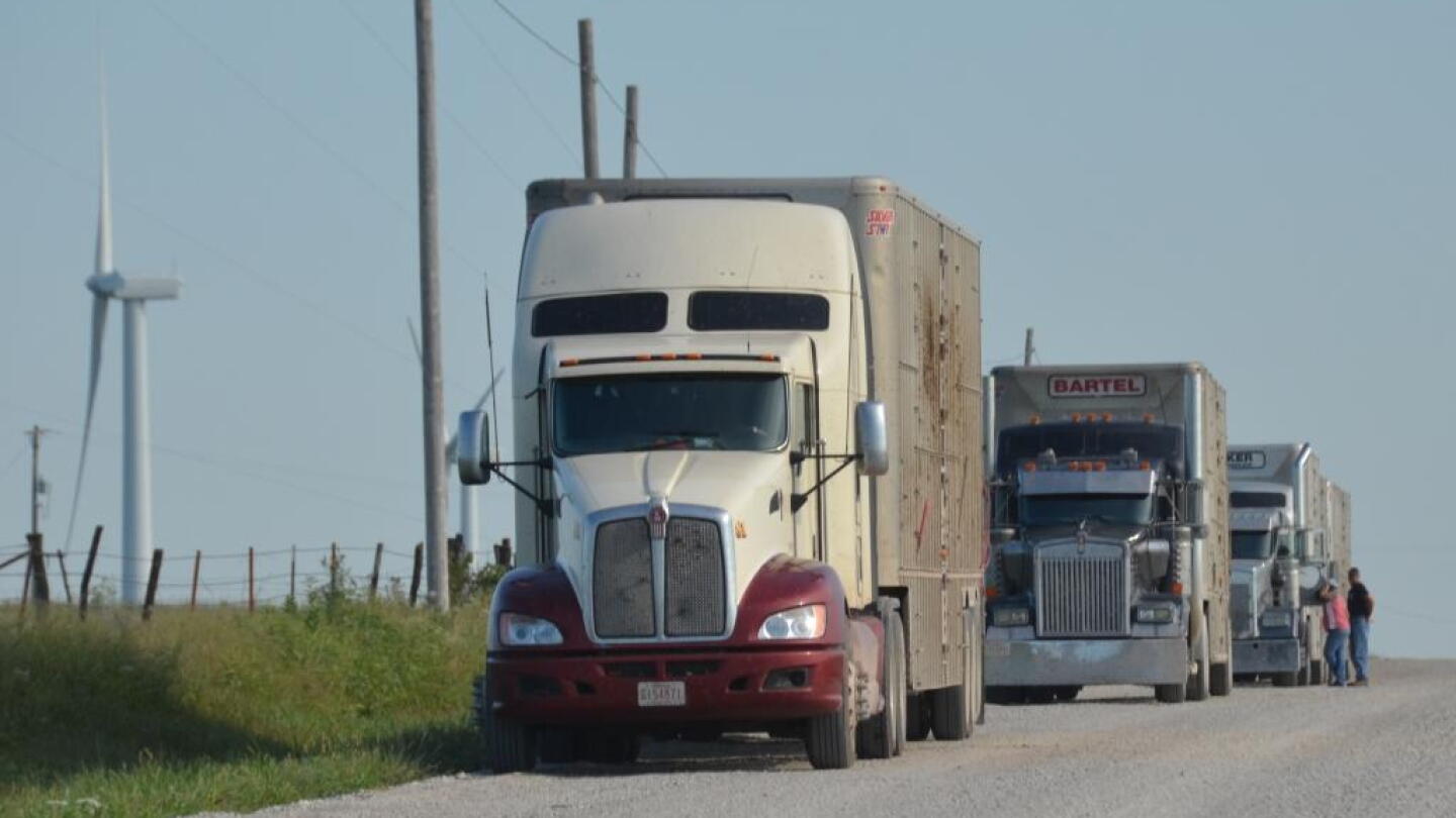 TREAD Act Provides More Flexibility to Livestock Haulers - Pork Business