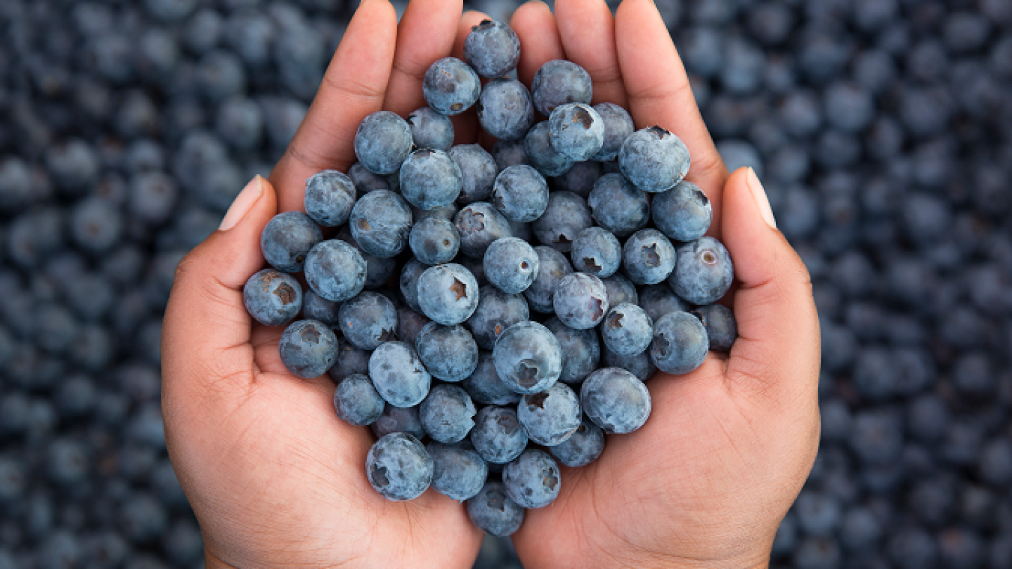 blufries