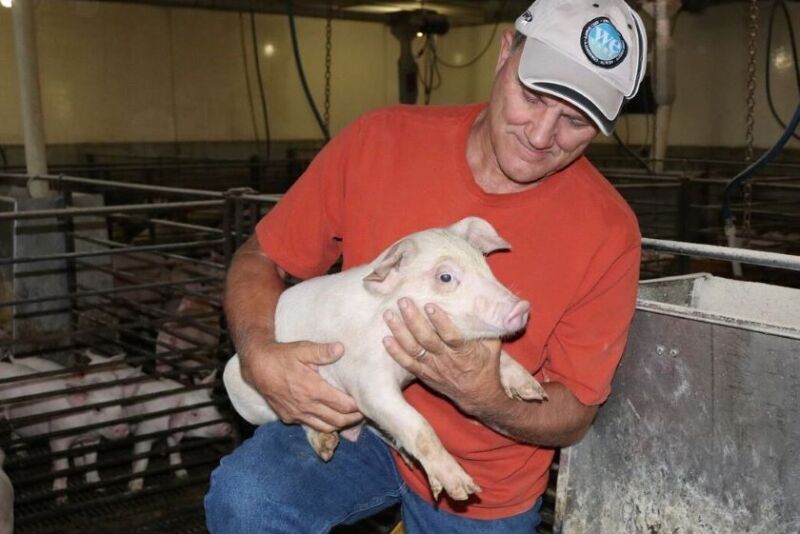 Pork Industry Invited to Fill Out Industry-Wide HR Survey - Pork Business