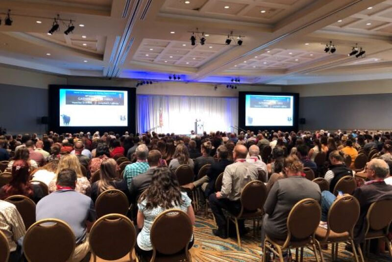 AABP Annual Conference will 'Focus on Value' - Bovine Vet