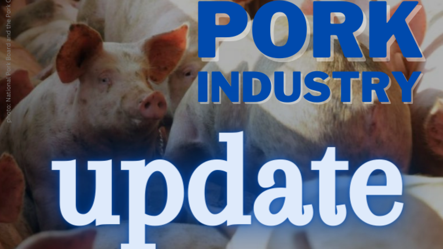Pork News: BioZyme Inc., Hendrix Genetics, Novus International, Inc ...