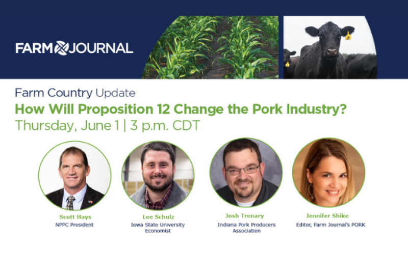 Farm Country Update: How Will Proposition 12 Change the Pork Industry?