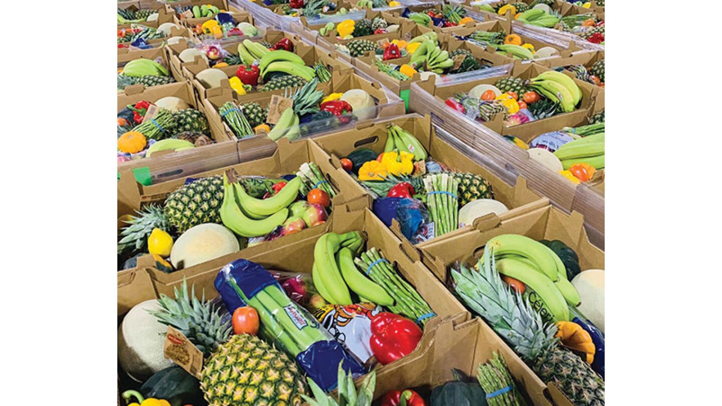 C&C Produce adds equipment - The Packer - Fruit and Vegetable Industry ...