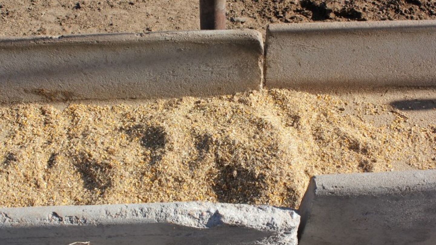 Veterinary Feed Directive Questions and Answers (Part 1 of 3) - Dairy Herd