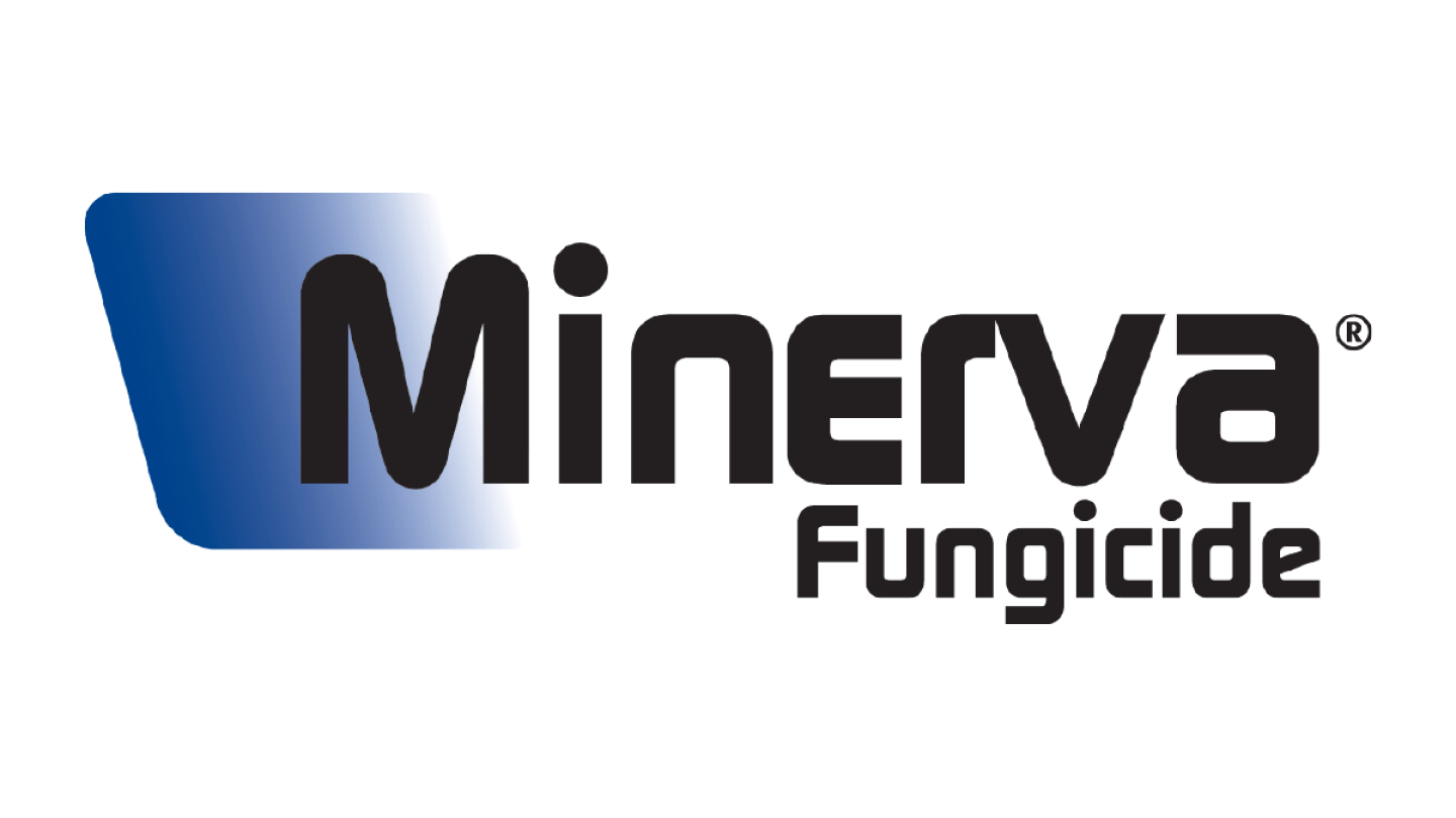 Belchim USA Acquires Exclusive Rights to Minerva Fungicide - The Scoop