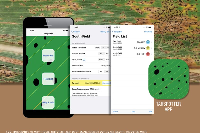 Tarspotter App Could Help Shield Corn from a Tar Spot Invasion - AgWeb