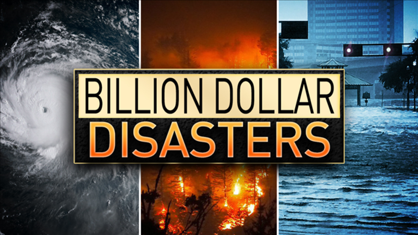 Most Expensive U.S. Hurricane Season - The Packer - Fruit and Vegetable ...