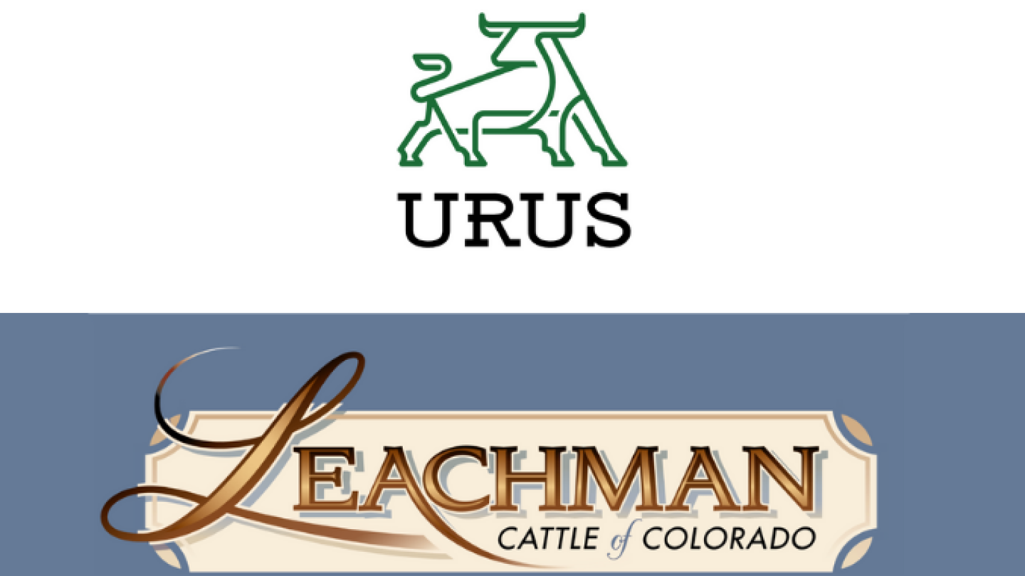 Leachman Cattle of CO Sells Majority Stake to URUS Group LP - Drovers