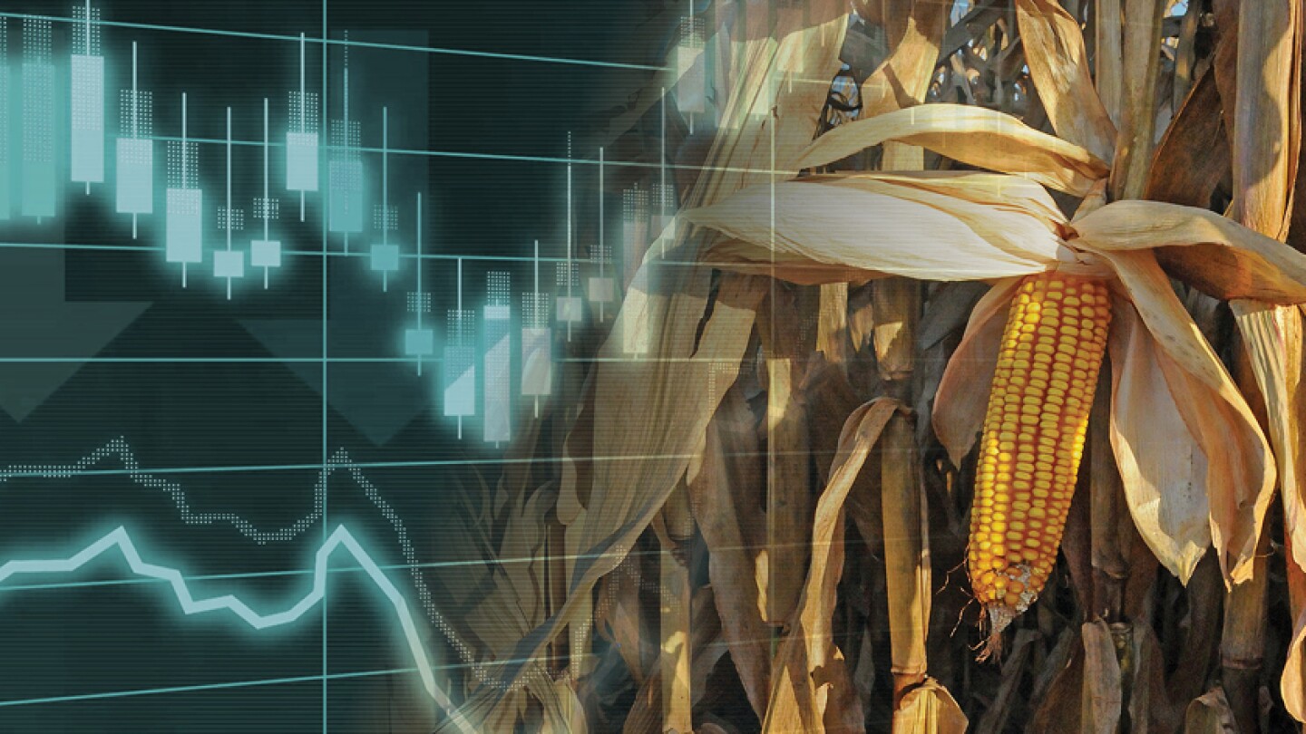 IGC Cuts Global Corn Crop Forecast - AgWeb