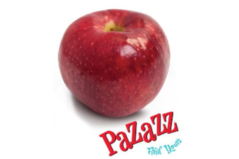 Honeybear to feature exclusive apple varieties at IFPA show - The Packer