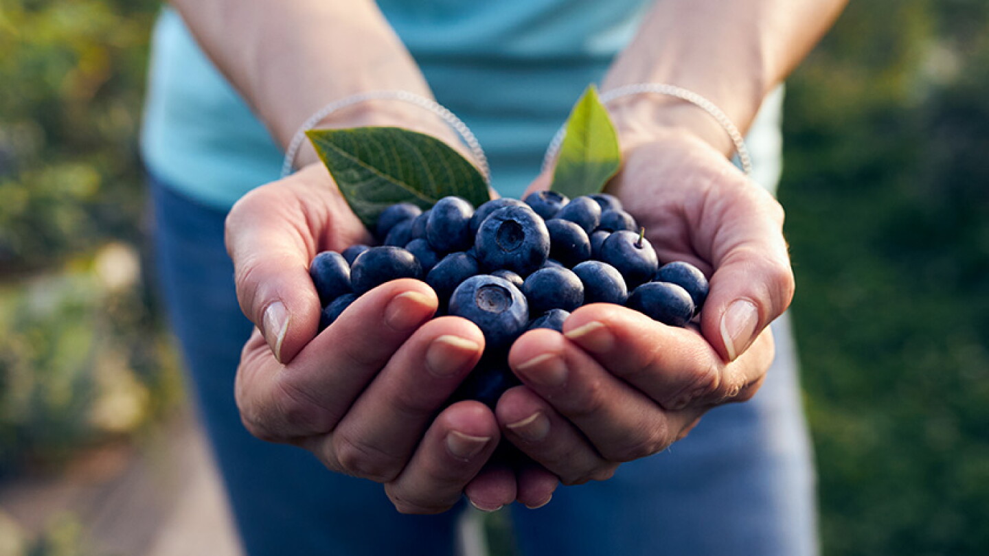 Feeling Blue? Blueberries Might Aid Depression and Anxiety, New ...
