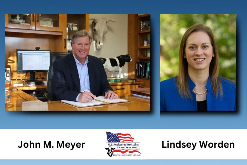 Holstein Association USA Announces New Transition Plan - Dairy Herd ...