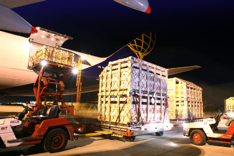 The Real Cattle Class: 747 Full of Cows Feeds China Beef Craving - Drovers