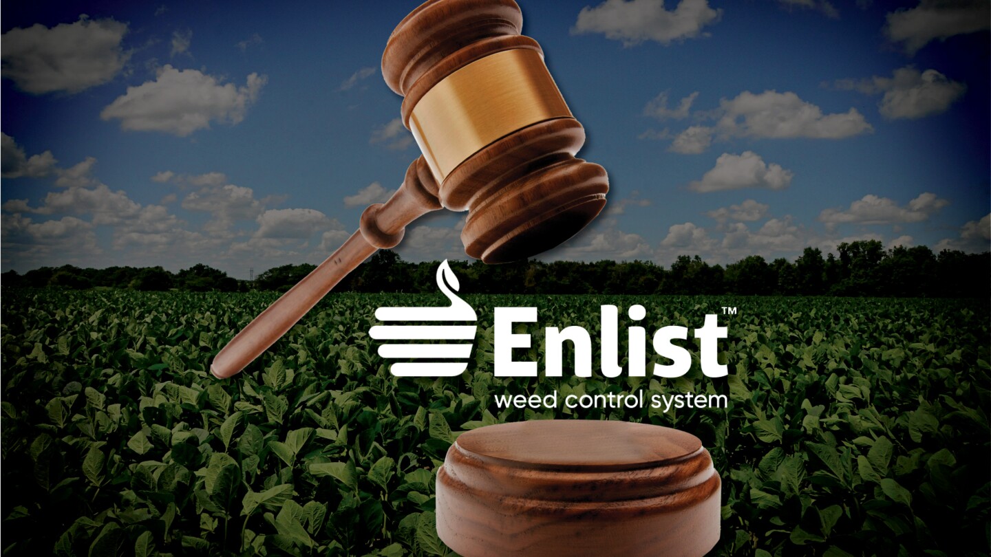 California Judges Say Enlist Duo Registration Stands - The Scoop