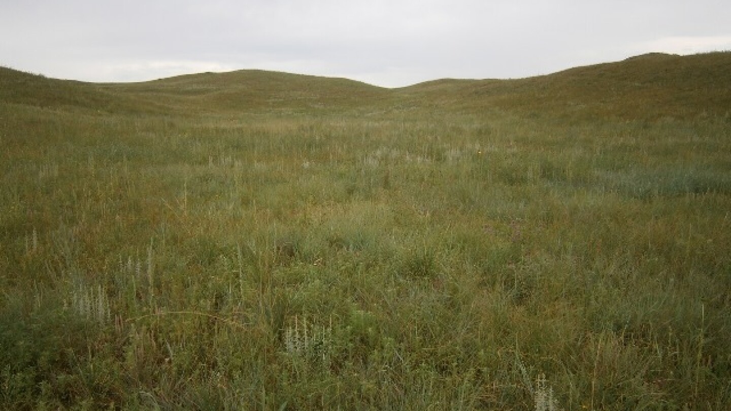 Lingering Drought Challenges for Some Pasture and Range Conditions ...