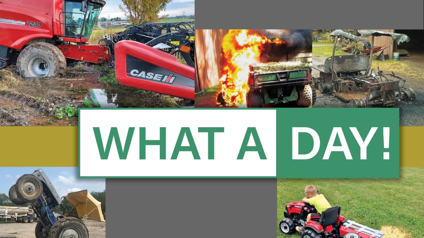 10 Photos That Will Make You Exclaim 'What A Day!'