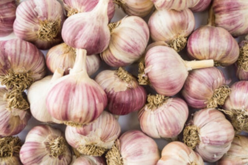 Garlic imports show growth - The Packer