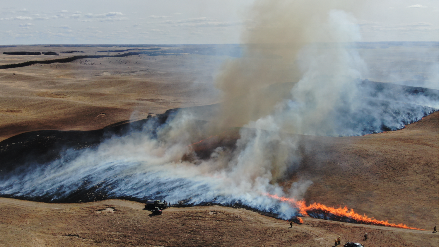 Stocking Rates, Weed Management and Fire Break Recovery Following ...