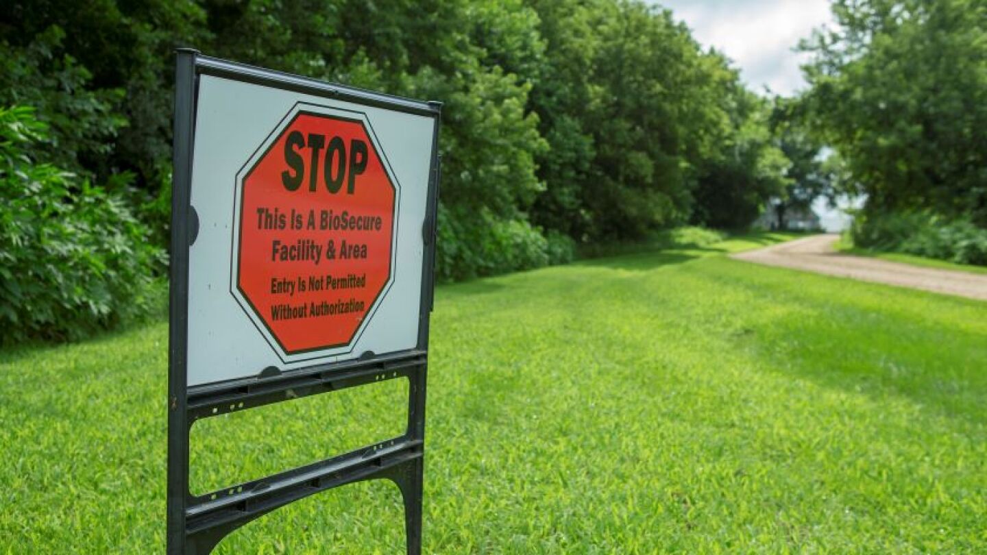 Study Affirms U.S. Pork Industry’s Efforts to Keep ASF Out - Pork Business