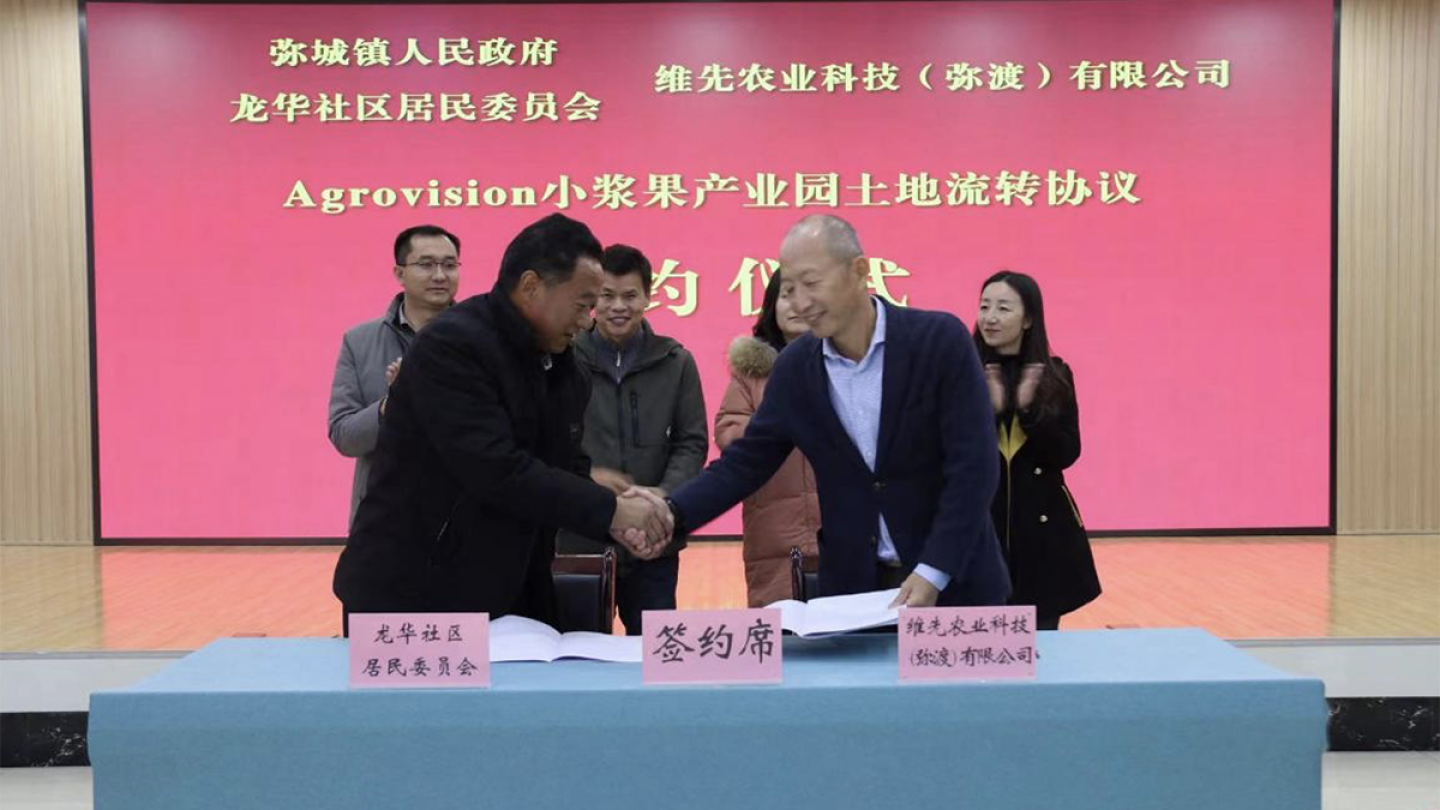 Agrovision pens large-scale berry farming deal in China - The Packer ...