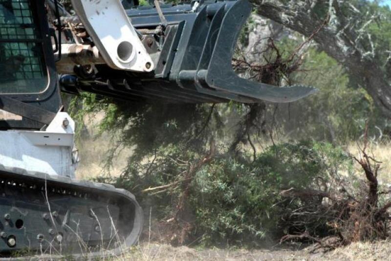 Soil Mapping may Indicate Success of Brush Control Method - Drovers