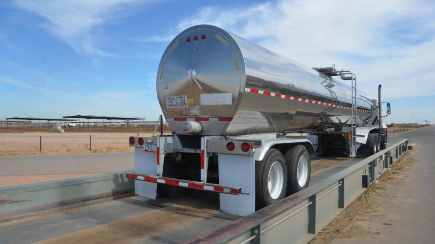 Milk Production Outweighs Demand - Dairy Herd