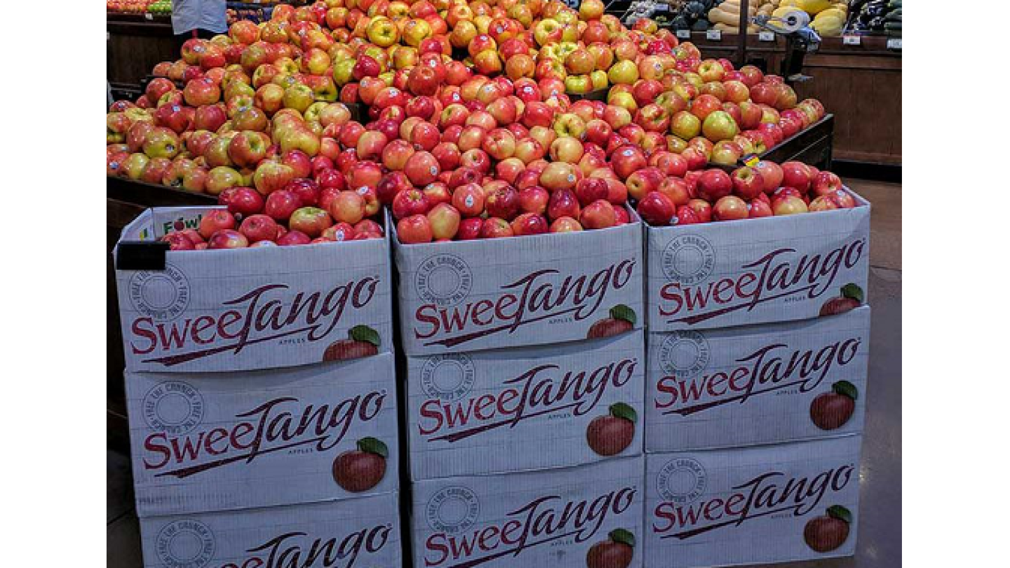 SweeTango promos kick into high gear for pandemic marketing - The Packer - Fruit and Vegetable ...