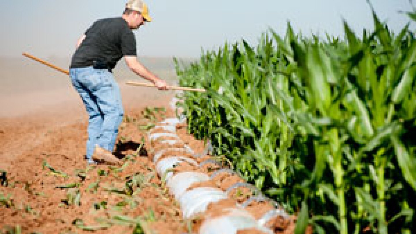 Red Bayou Bounty - The Packer