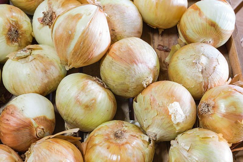 A look at Bland Farms' transition to Peruvian onions - The Packer