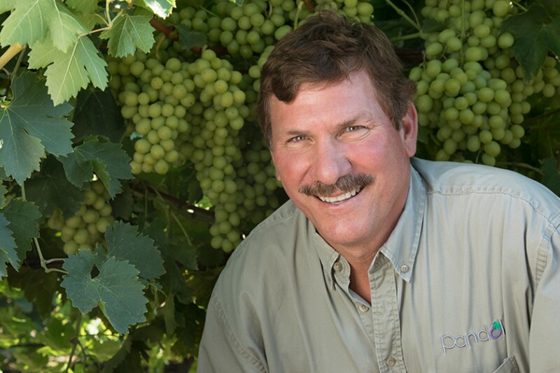 Matt Pandol Jr. remembered for dedication to family and farming - The Packer - Fruit and ...