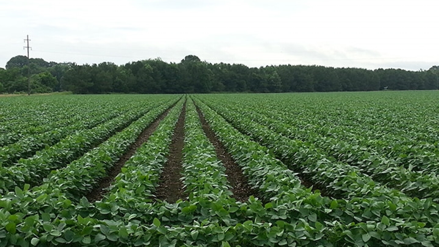 Creative Routes to Exceptional Yield - AgWeb
