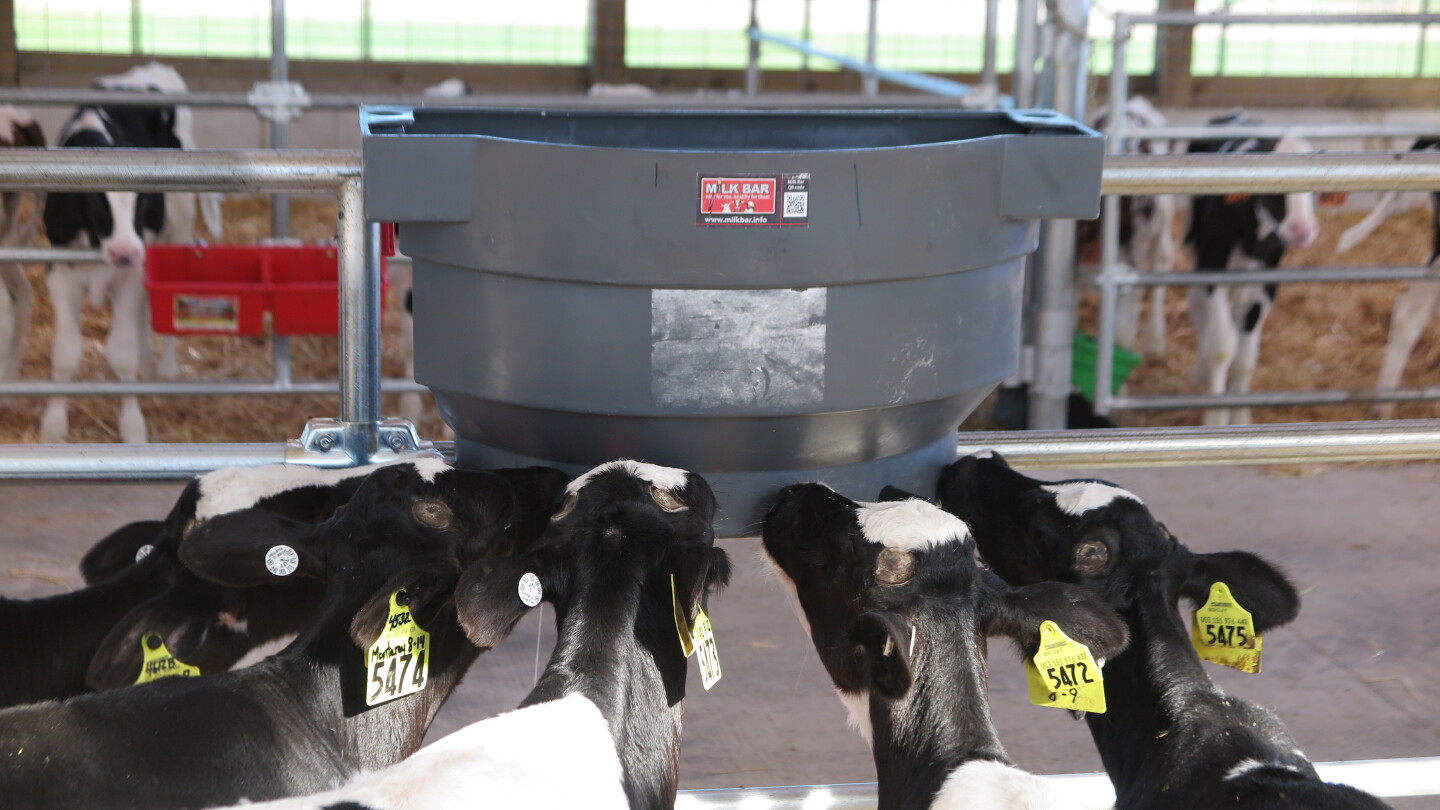 With Proper Ventilation and Sanitation, Mob Feeders Can Do The Job ...