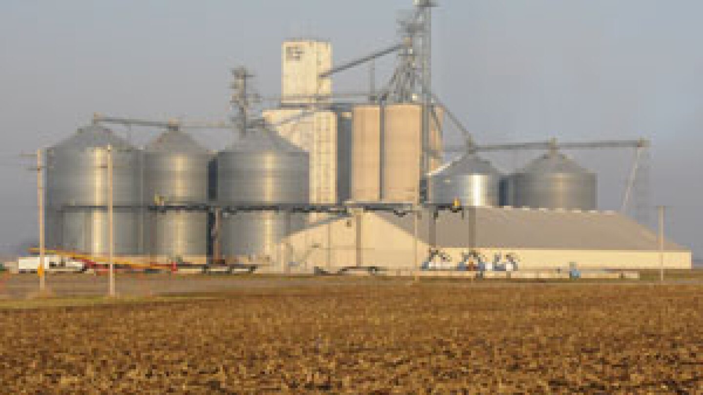 Banking on Biofuels - The Packer