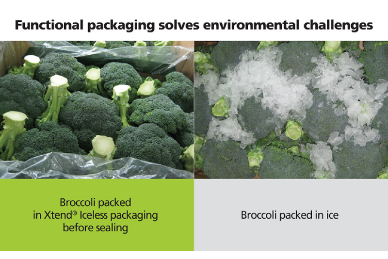 StePac’s Xtend Iceless packaging shifts from traditional method - The ...