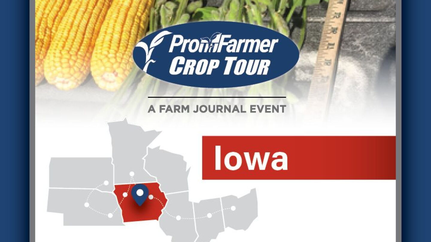 Pro Farmer Scouts May Have Found the Garden Spot in Western Iowa ...