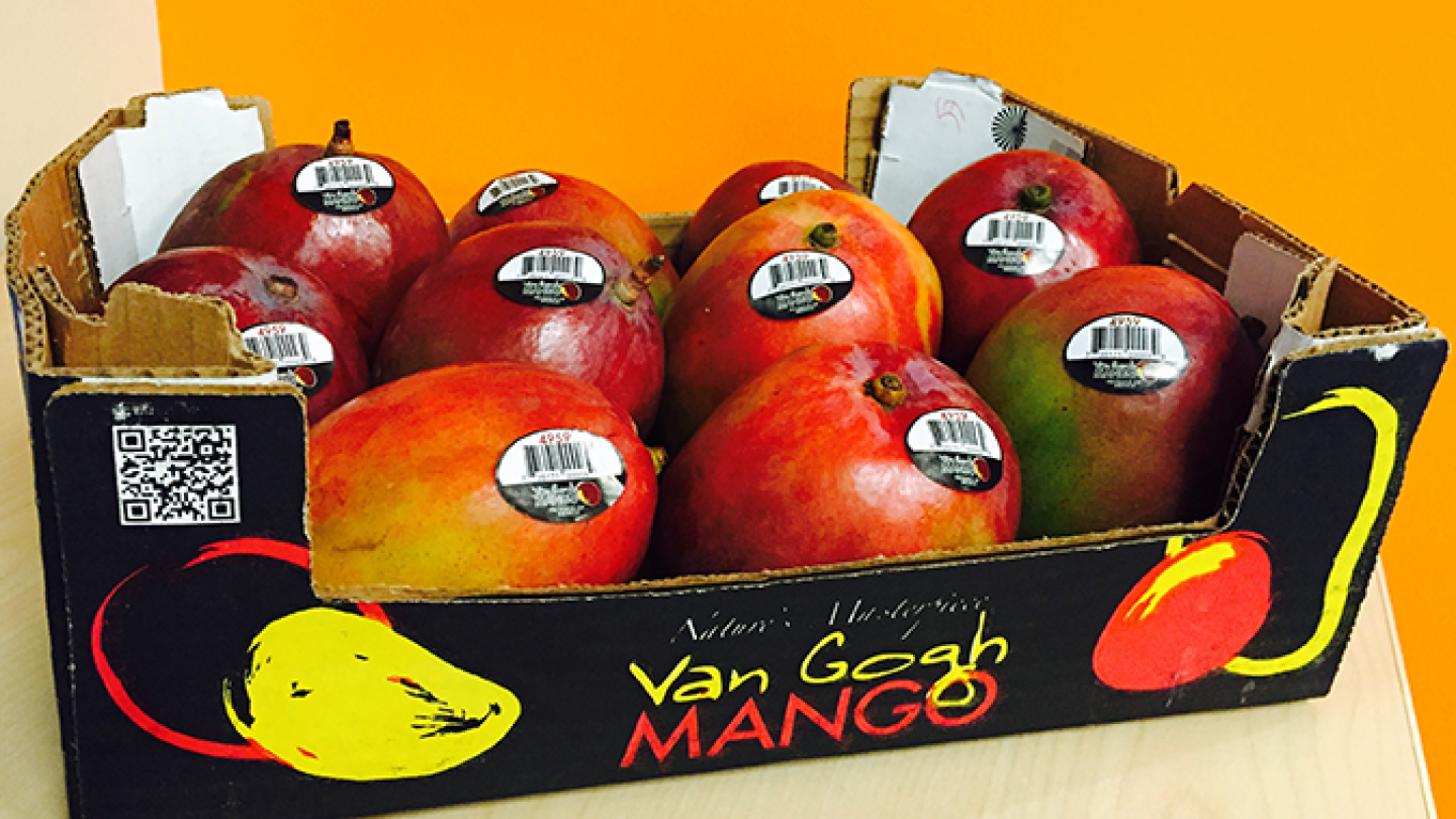 Vision Produce offers ripe mango program - The Packer