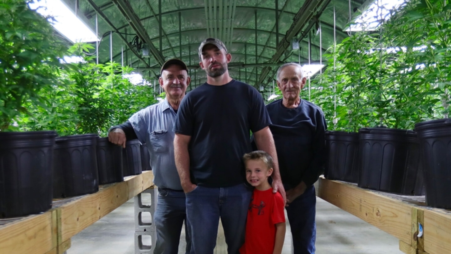 Hemp Profit Gets Real - AgWeb