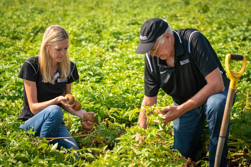 Alsum Farms celebrates 50 years with public-facing celebration - The Packer