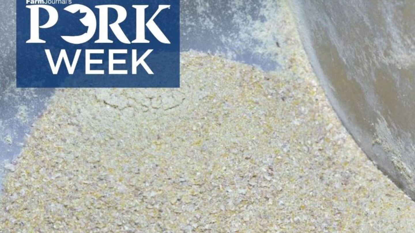 $8 Cash Corn And $18 Soybeans Sales? It's Reality And Means All Bets ...