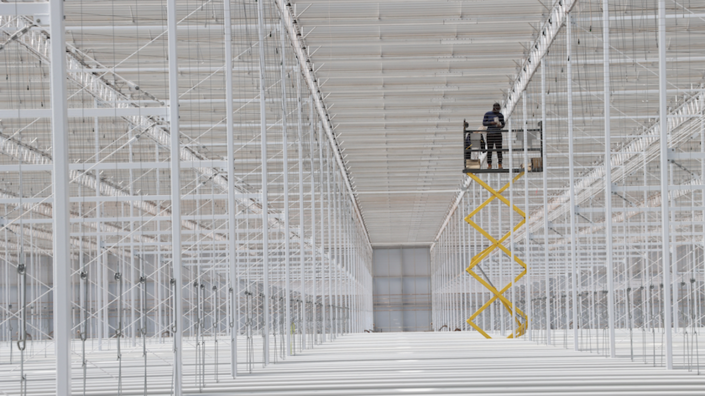 Intergrow Greenhouses opens newest expansion in New York - The Packer