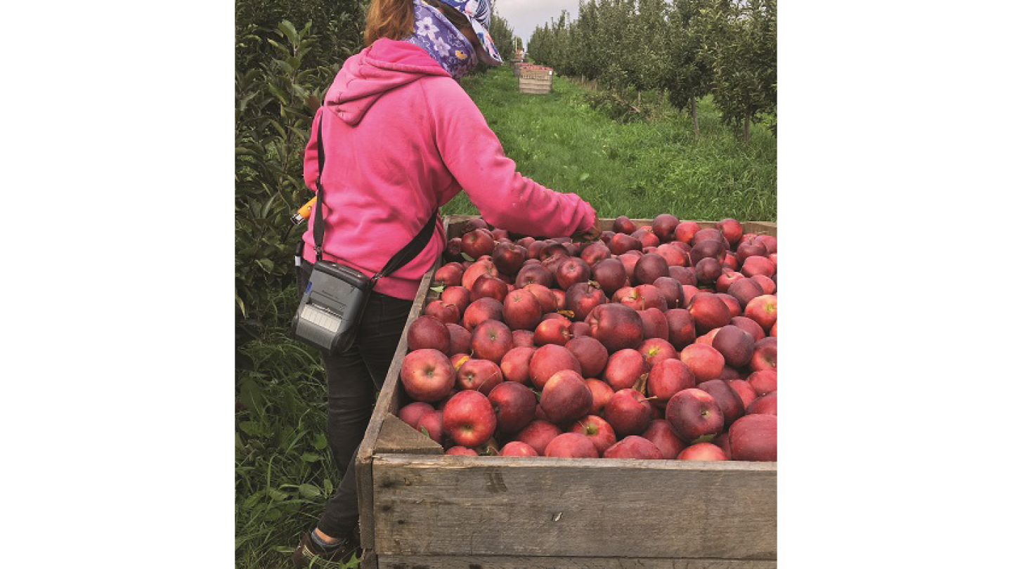 Retail veteran joins JP Sullivan - The Packer