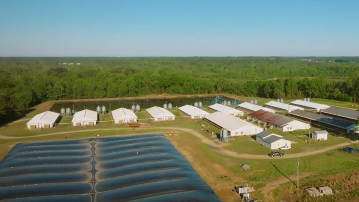 A Look at 3 Successful Hog Farm Anaerobic Digesters - Pork Business